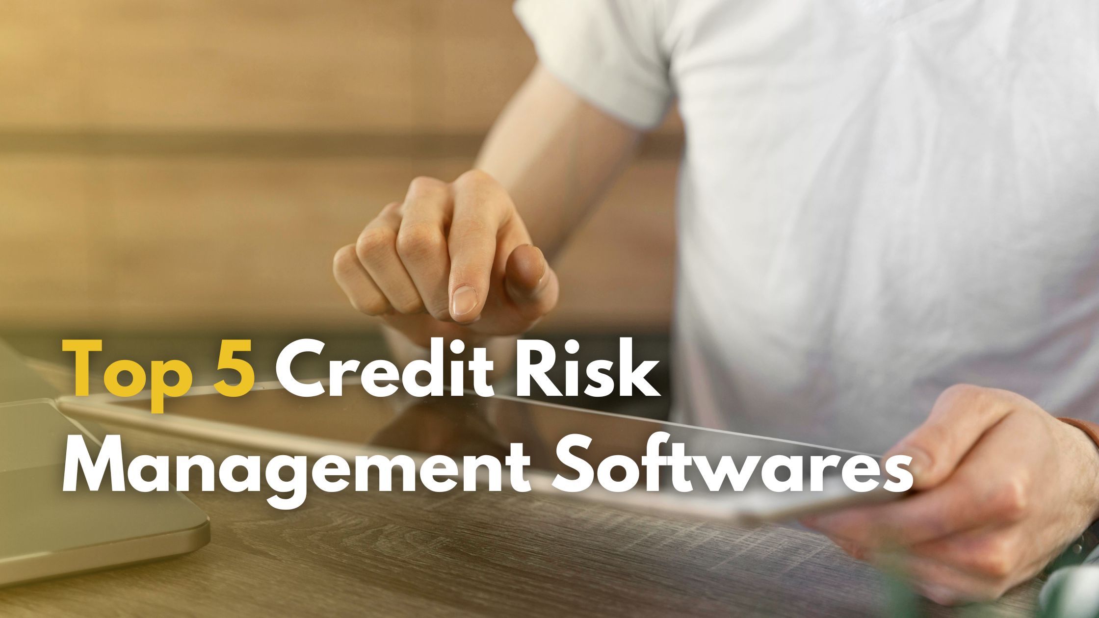 Top 5 Best Credit Risk Management Software in 2024