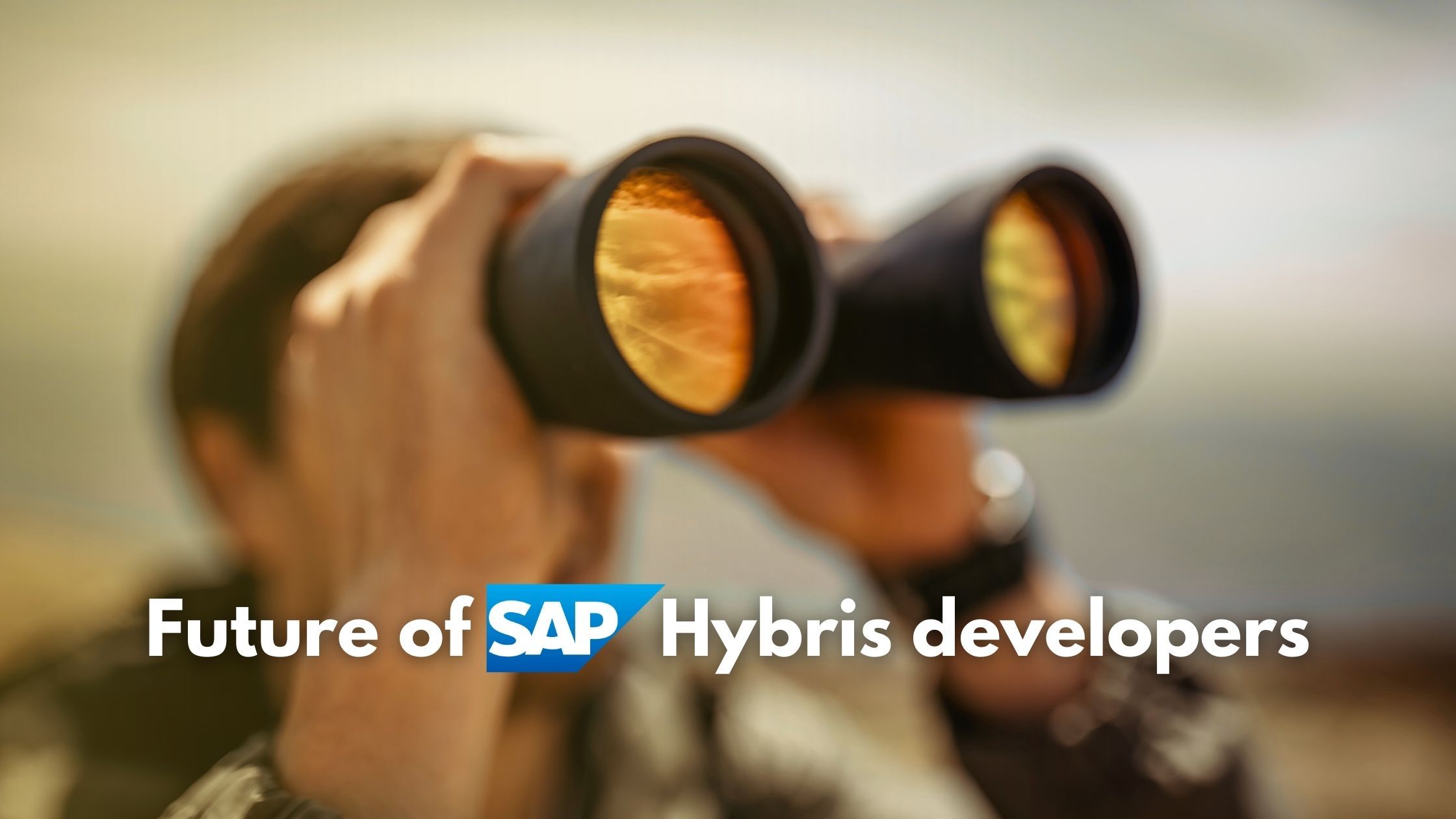 The Future of SAP Hybris Developer: Skills, Technologies, and Career ...